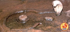 Animal Einsteins in Sanskrit and Tamil literature | Tamil and Vedas