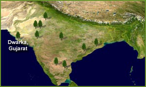 Amazing Yadava Kings! | Tamil and Vedas