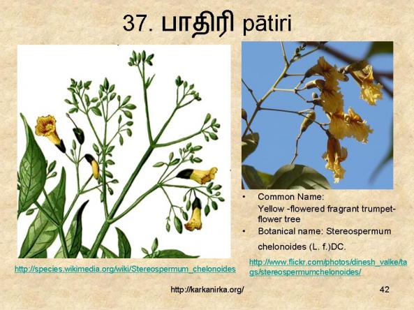 Water Purification Techniques in Ancient Indian Literature! | Tamil and ...