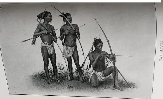 Mystery of Hill Tribes of India – Part 5 (Post No.2948) | Tamil and Vedas