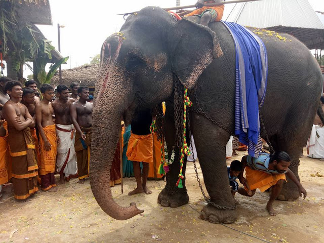 Animal Emblems of Indian Kings (Post No.5070) | Tamil and Vedas