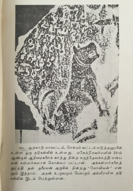 TAMIL DOG IS THE FIRST DOG IN THE WORLD TO GET A STATUE!(Post No.7976 ...